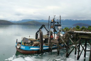 Behind the Scenes At A Salmon Cannery in Alaska | Food Gal