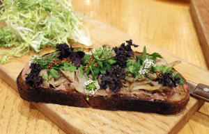 A Visit to Healdsburg Shed | Food Gal