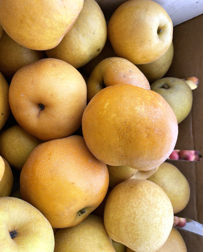 A Visit to Gold Ridge Organic Farms | Food Gal