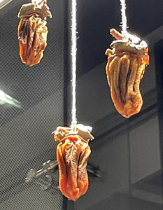 The Return of Cyrus | Food Gal